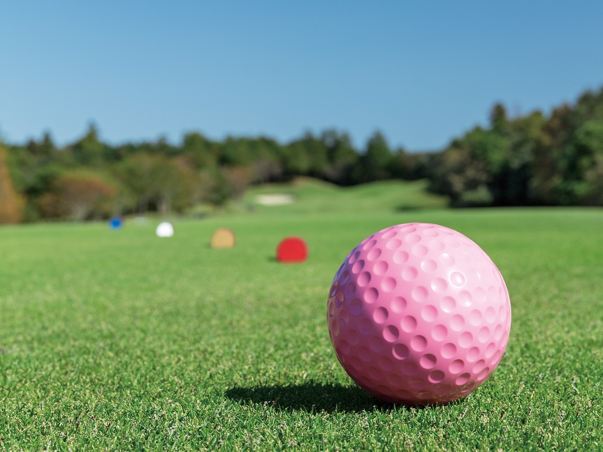 ANGEL GOLFサイトのご紹介～ピンクティー紹介～ | NEWSトピックス | PGM ANGEL GOLF（エンジェルゴルフ）